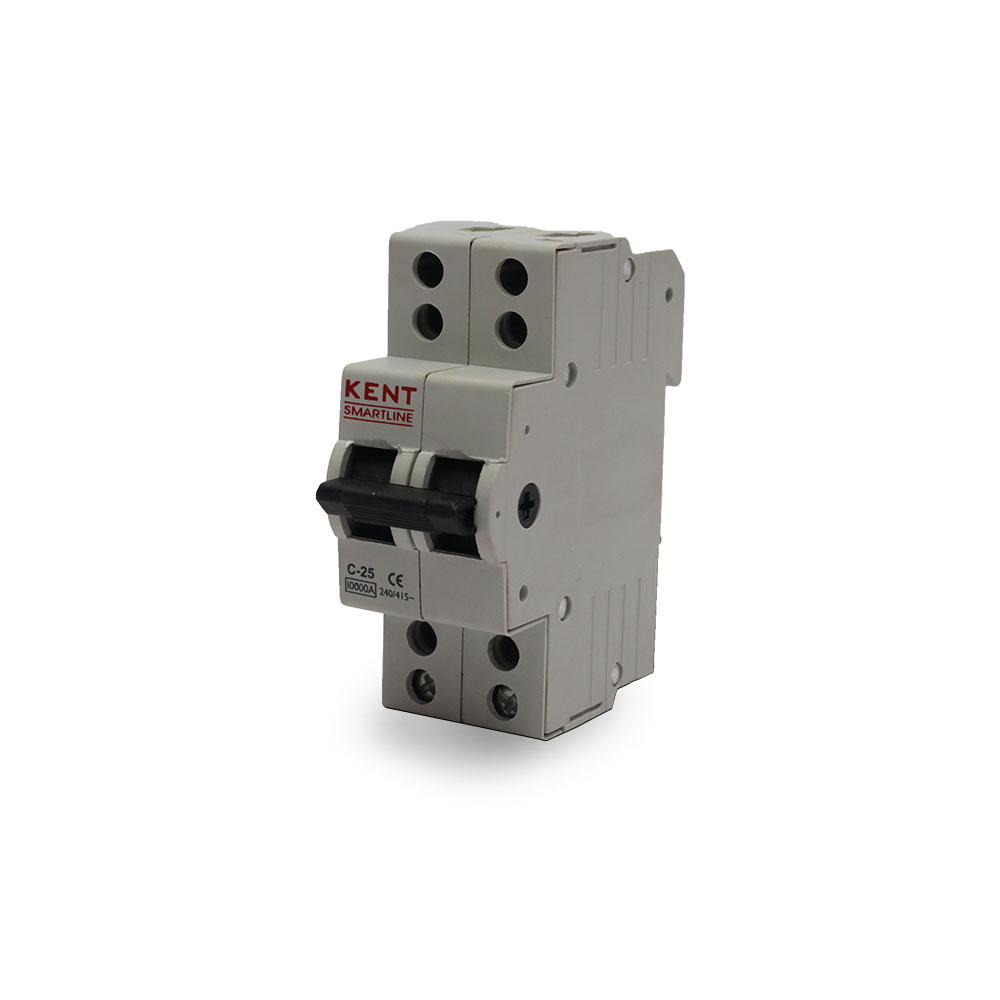 25 AMP DP